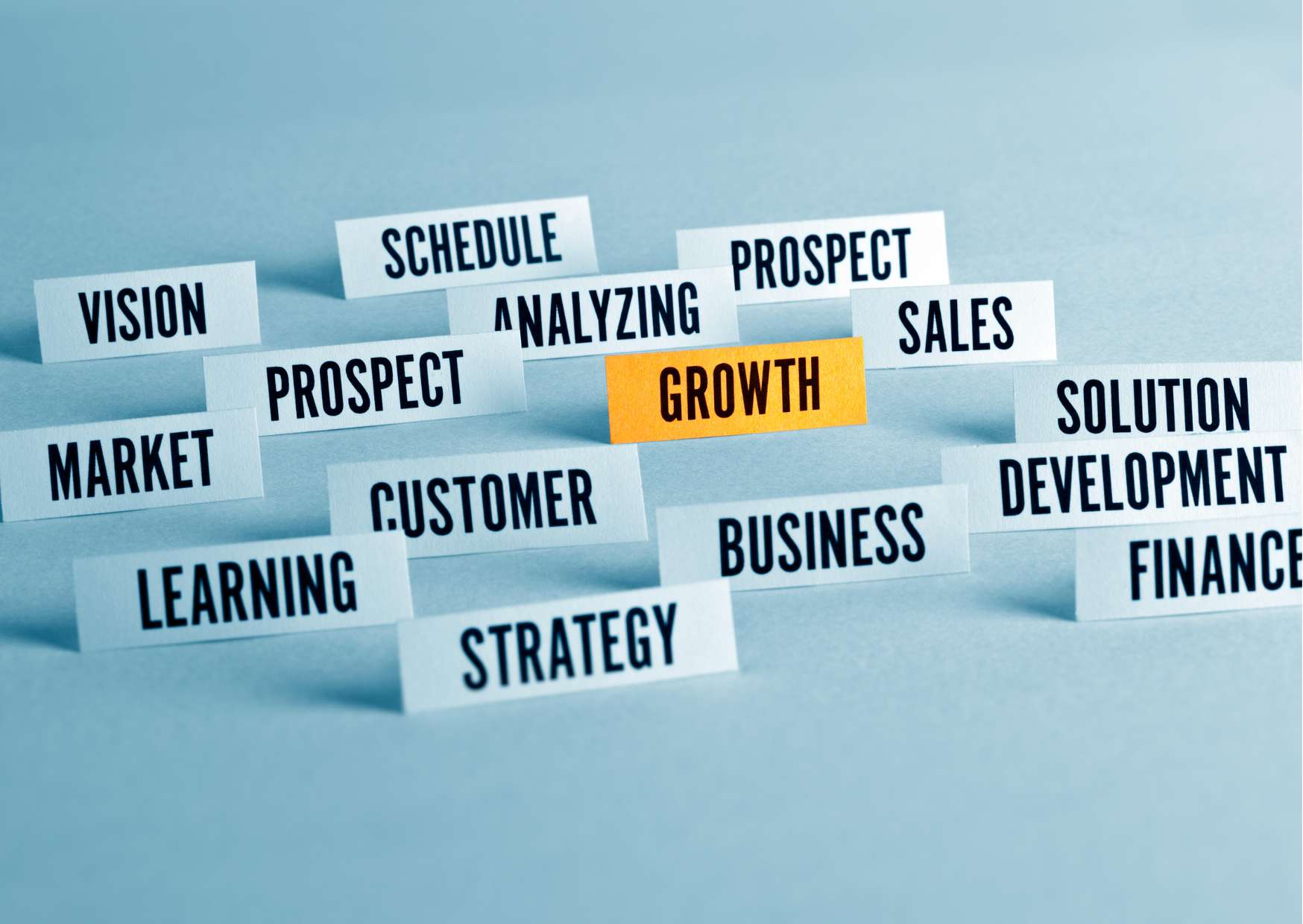 Customer Growth Blueprint: Strategic Marketing Strategies - Skill Path