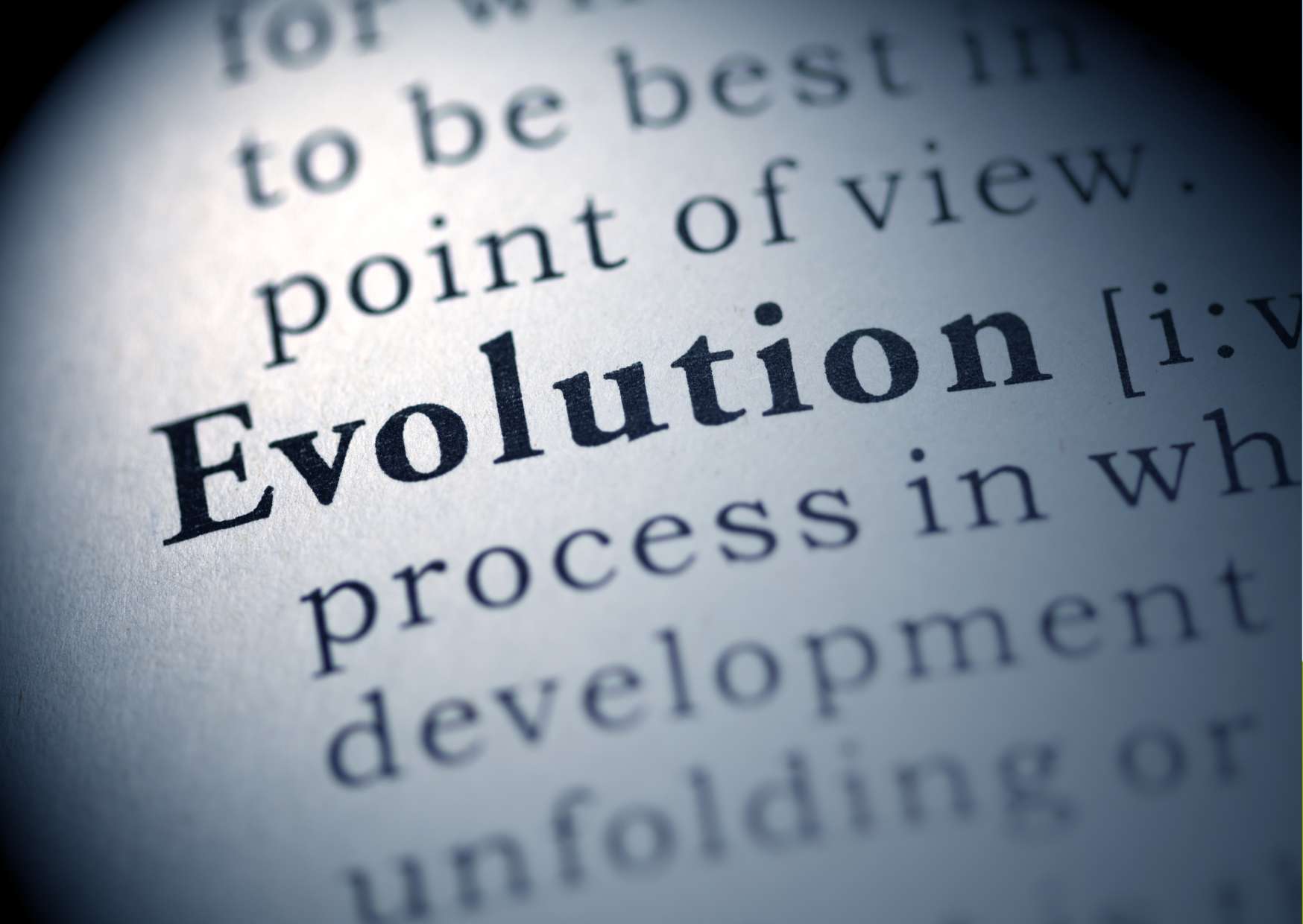 EPC Evolution Strategies - Skill Path